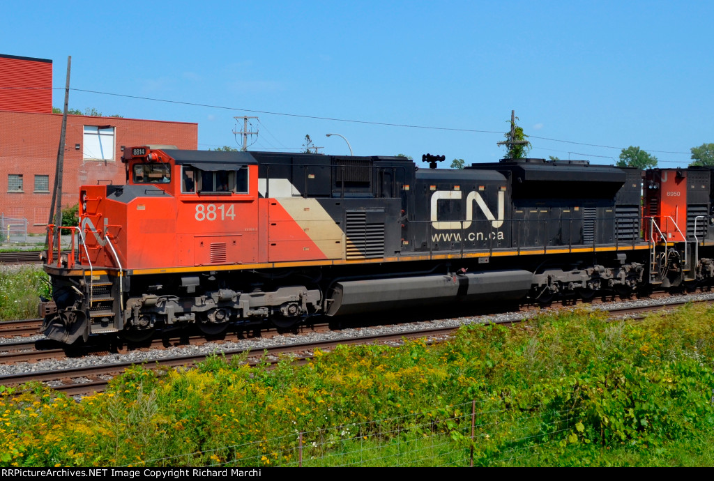 CN 8814